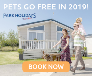 Sun Holiday Codes October 2019 | Get the latest codes here